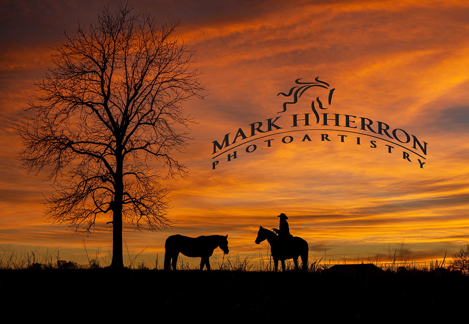 Mark H Herron Photo Artistry